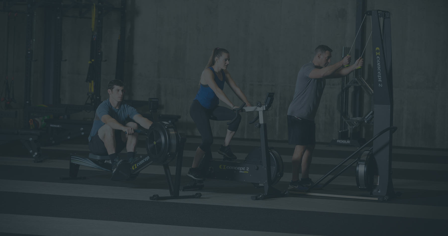 Rebel - Gym Equipment | Online Fitness Store - Progym Solutions